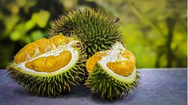 6 Tips Memilih Durian Berdaging Tebal, Bisa Dicek Bentuk dan Tangkai ...