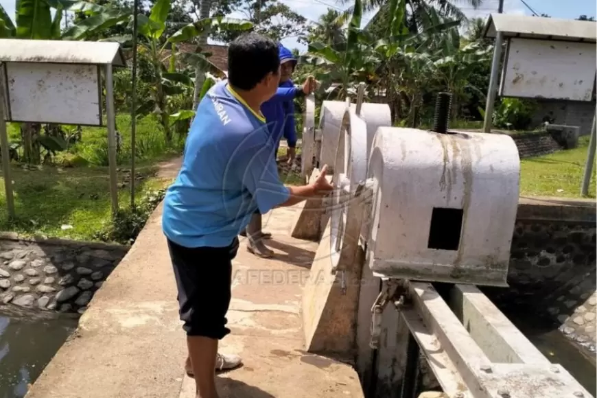 Penjaga Pintu Air DPU Pengairan Pahlawan Tersembunyi di Balik Kesuburan Sawah Banyuwangi - Afederasi